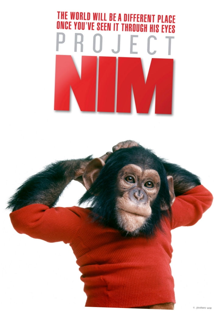 Project Nim Poster Metal Sign Art Print 8x12 Unframed, Age: Adults Best ...