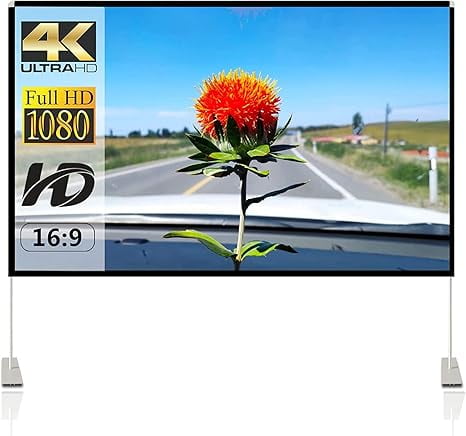 Projector Screen with Stand 120 inch Portable Projection Screen 16:9 4K ...