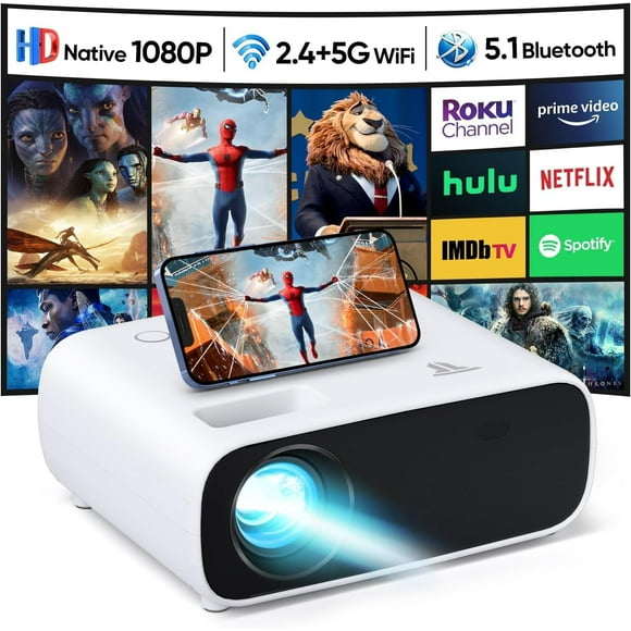 Roku Projector