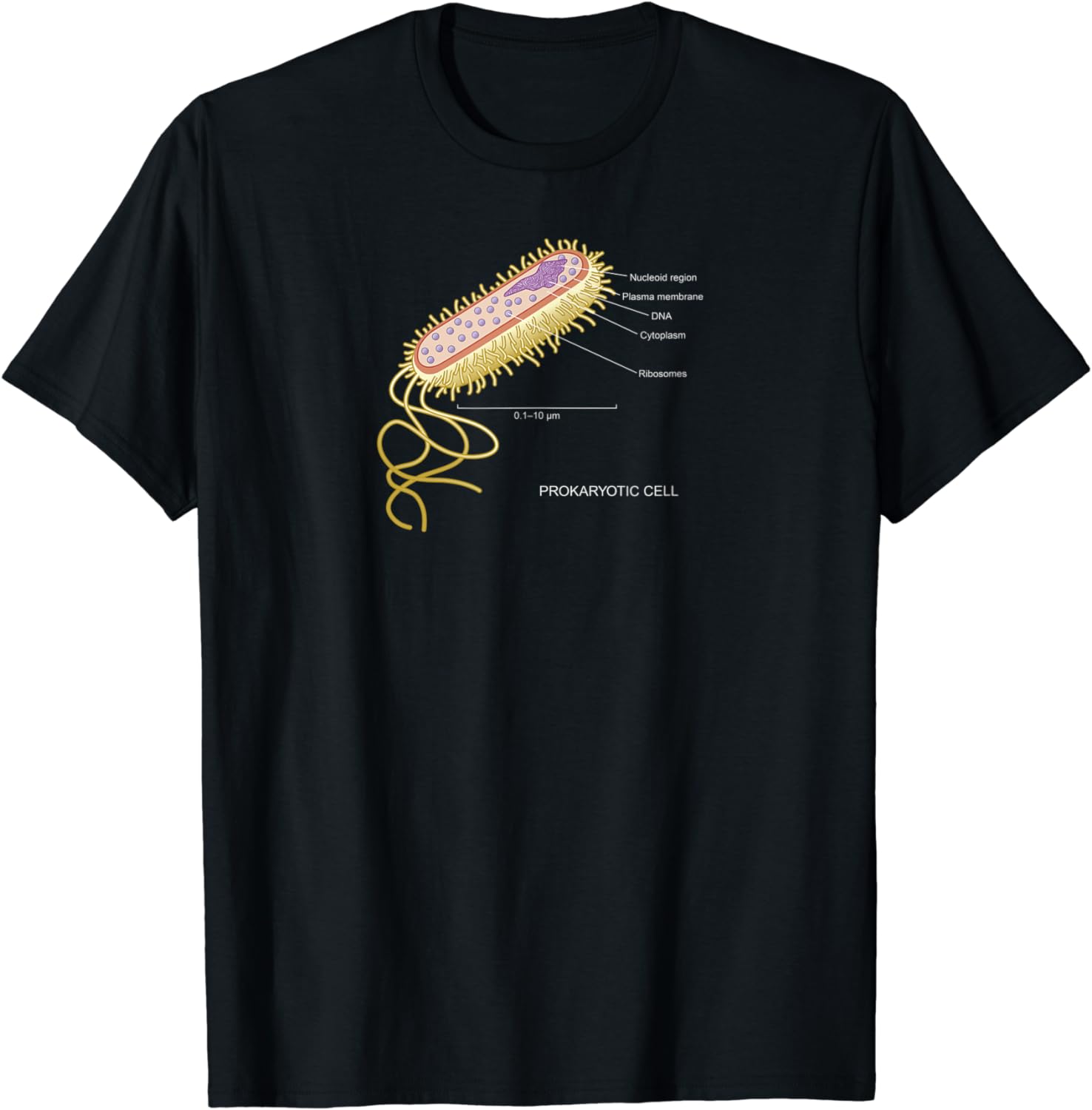 Prokaryotic Cell T-Shirt - Walmart.com