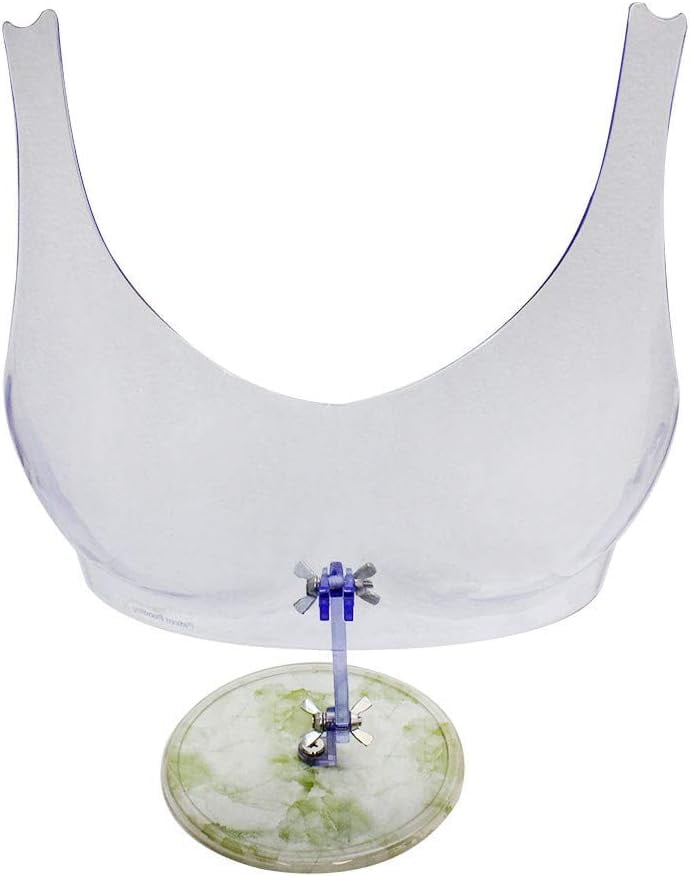 Prolinemax Free Standing Clear Plastic Bra Form Bikini Lingerie Display ...