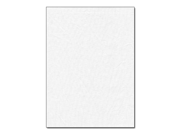 Promaster - Background - cotton / polyester - 10 ft x 11.8 ft - white ...