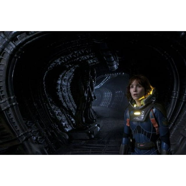 Prometheus Movie Poster Reprint 27Inx40In for any room 27x40 Multi ...