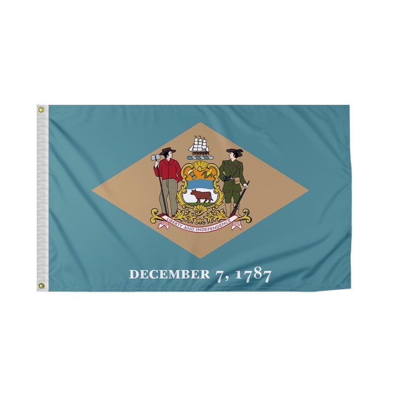 Promo Patriot's Delaware State Car Flag 10.5x15 Inch - with 19" Plastic ...