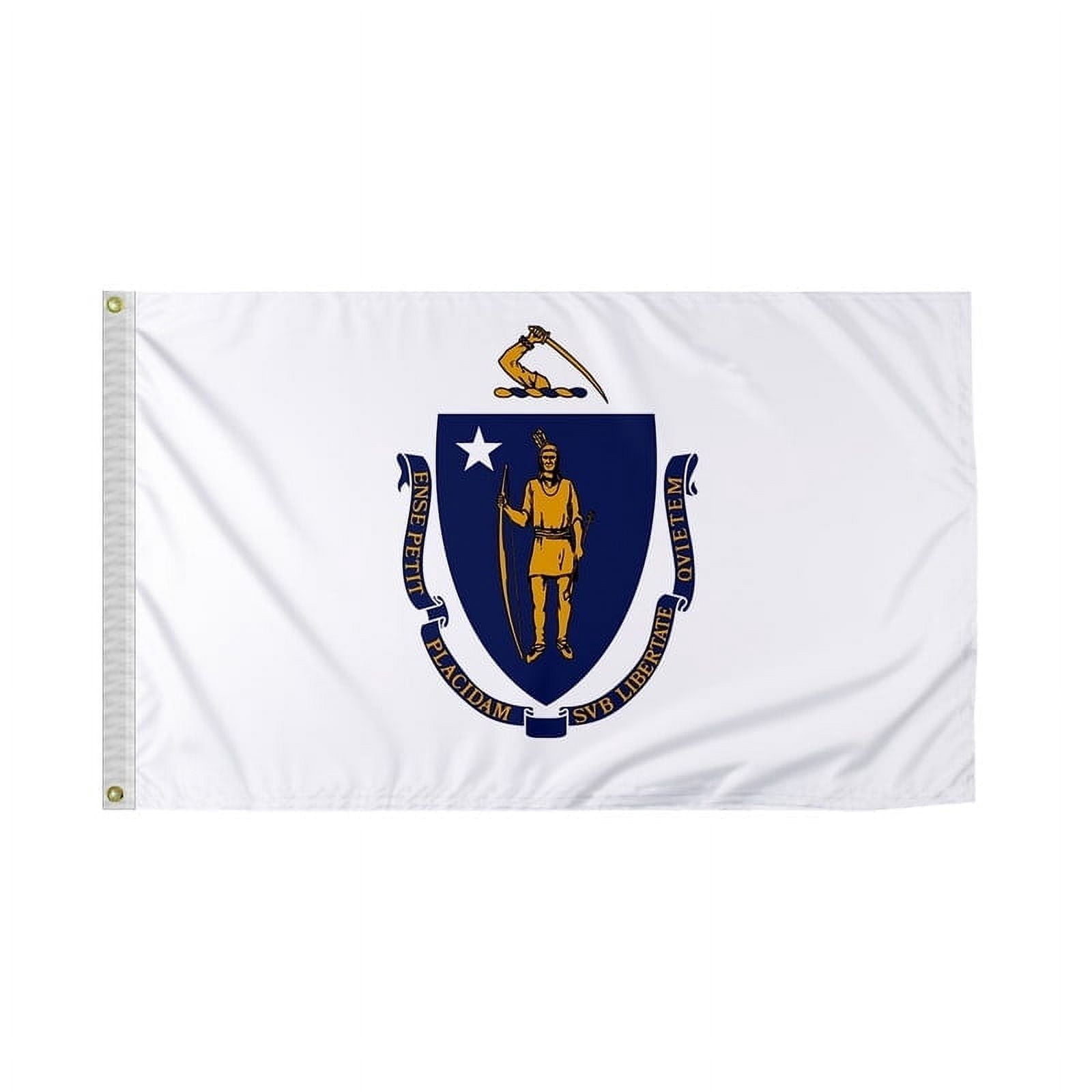 PromoPatriot Massachusetts State Flag, 4 x 6 ft, Nylon, Outdoor ...