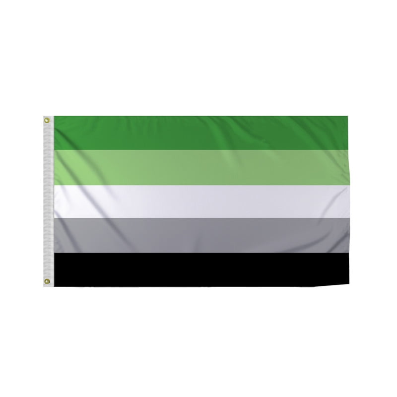 Promopatriot Aromantic Pride Flag 2x3 Ft Printed 200D Nylon Brass ...
