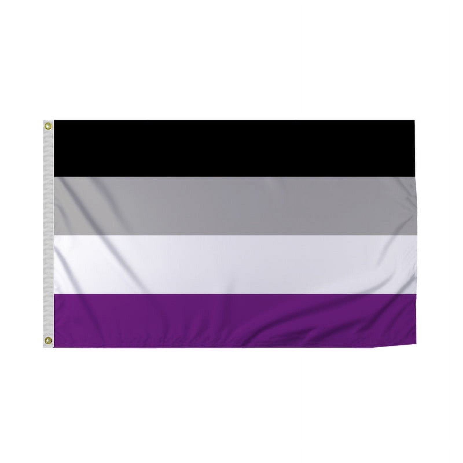 Promopatriot Asexual Pride Flag 2x3 Ft Printed 200D Nylon Brass ...