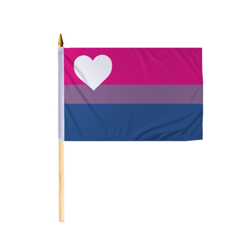 Promopatriot Biromantic Pride Stick Flag 12x18 inch Stick Flag Sewn ...