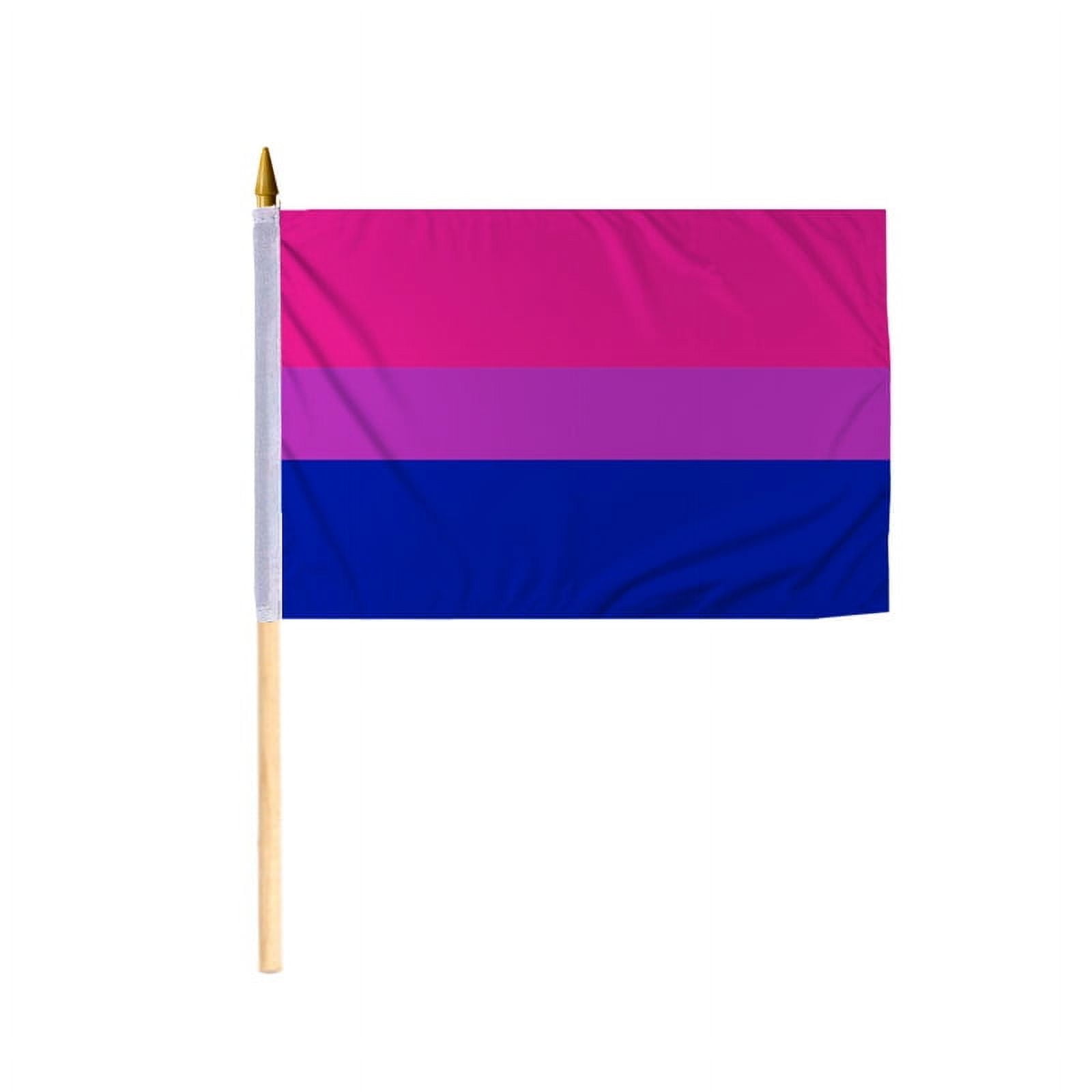 Promopatriot Bisexual Pride Stick Flag 12x18 inch Stick Flag Sewn Edges ...