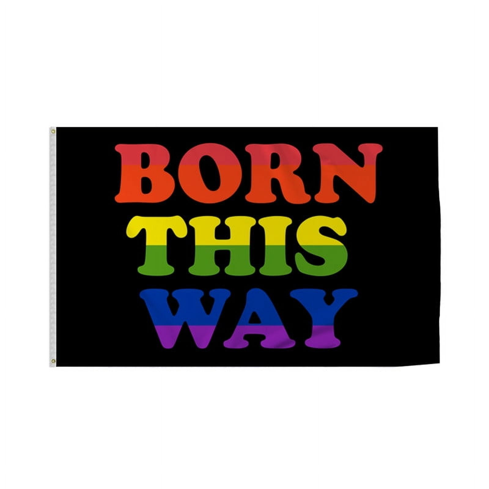 Promopatriot Born this way Pride Flag 3x5 Ft Polyester Plated Grommets ...