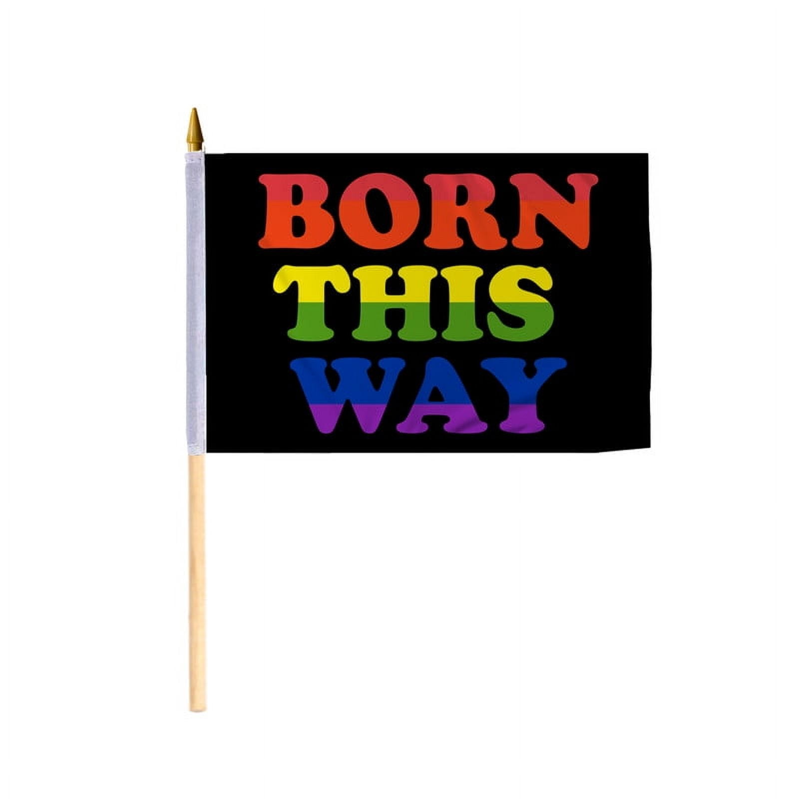 Promopatriot Born this way Pride Stick Flag 12x18 inch Stick Flag Sewn ...