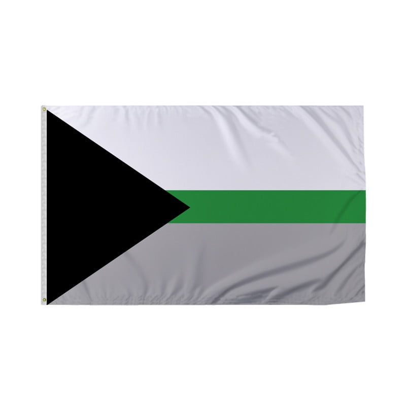 Promopatriot Demiromantic Pride Flag 3x5 Ft Printed 200D Nylon Brass ...