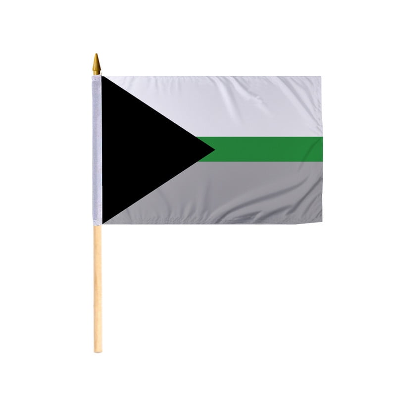 Promopatriot Demiromantic Pride Stick Flag 12x18 inch Stick Flag Sewn ...