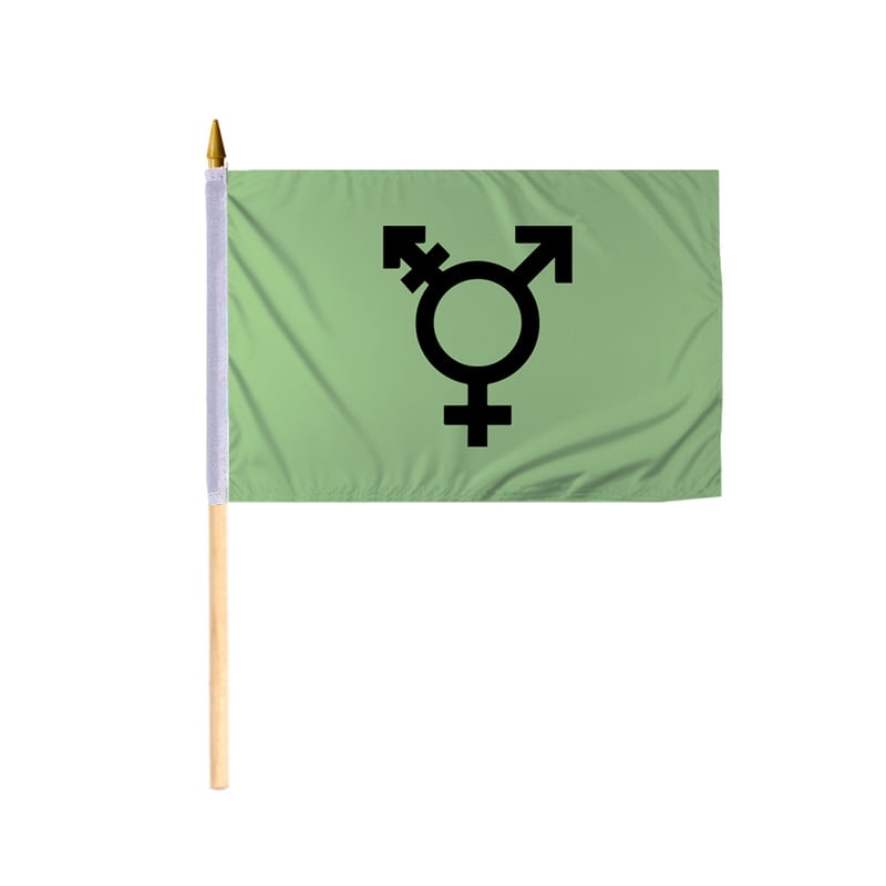 Promopatriot Israel Trans Pride Stick Flag 12x18 inch Stick Flag Sewn ...