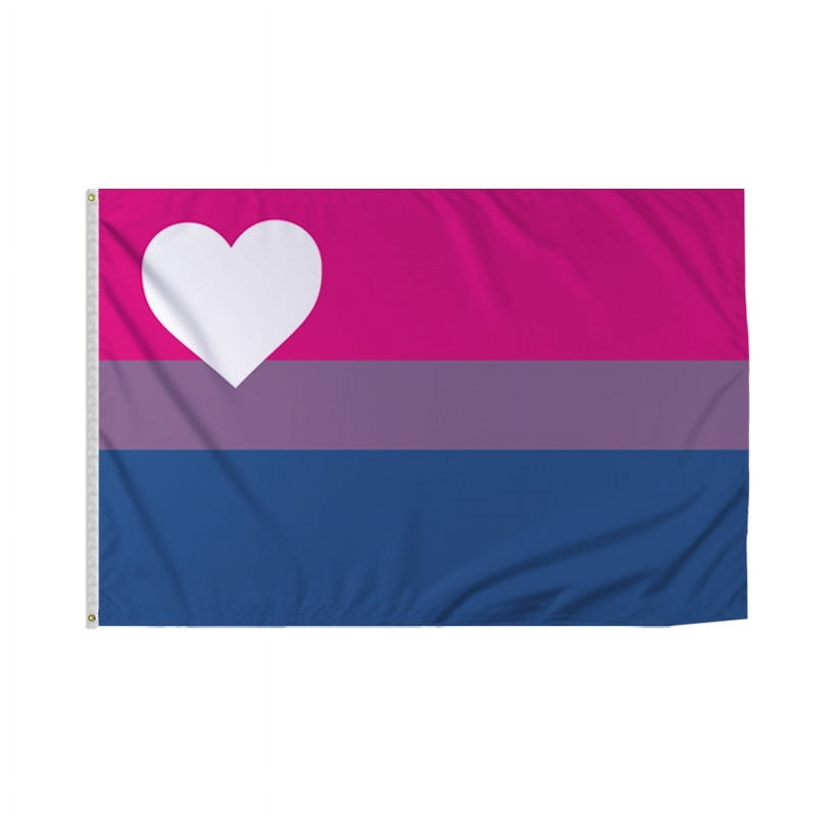 Promopatriot Large Biromantic Pride Flag 8x12 Ft Printed 200D Nylon ...
