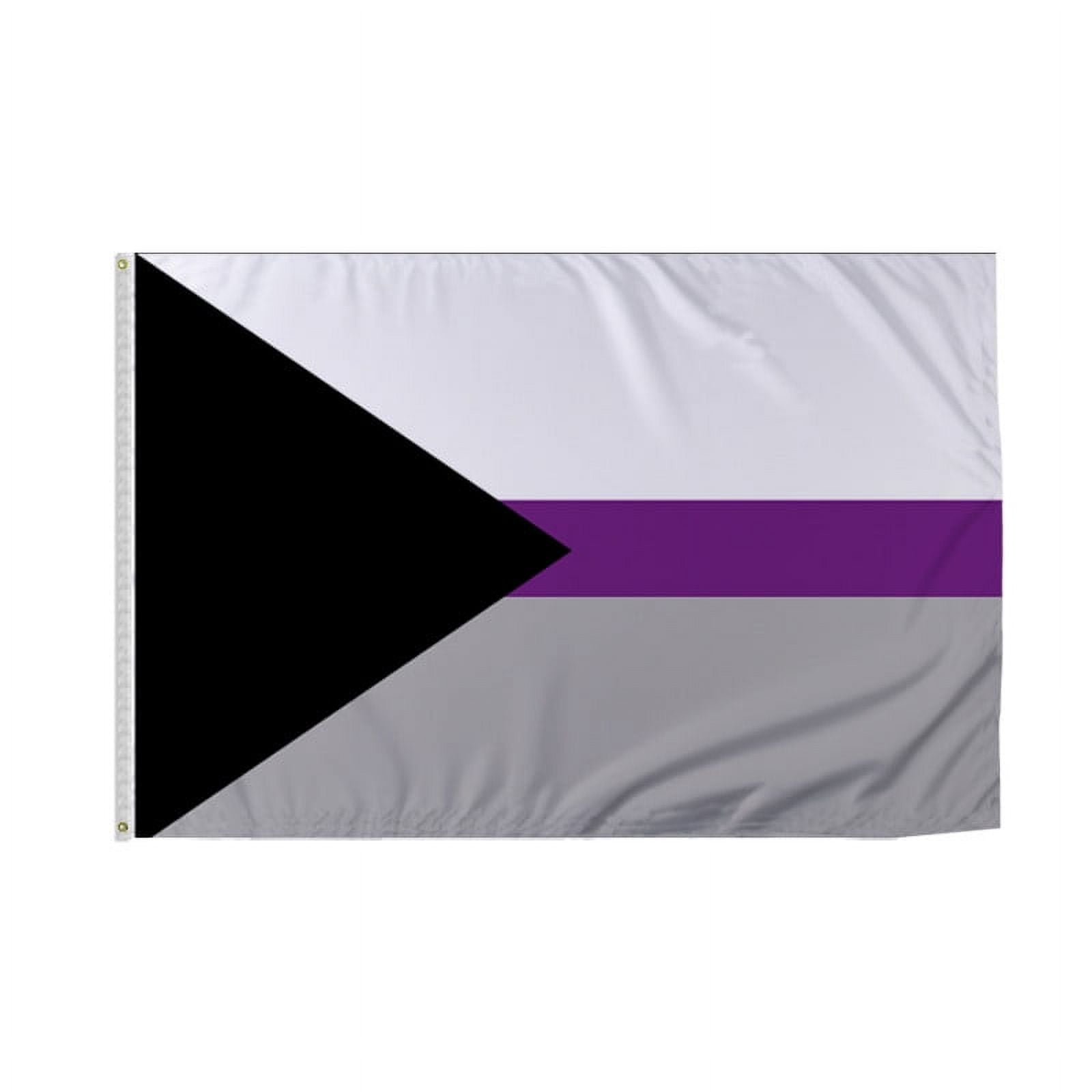 Promopatriot Large Demisexual Pride Flag 10x15 Ft Printed 200D Nylon ...