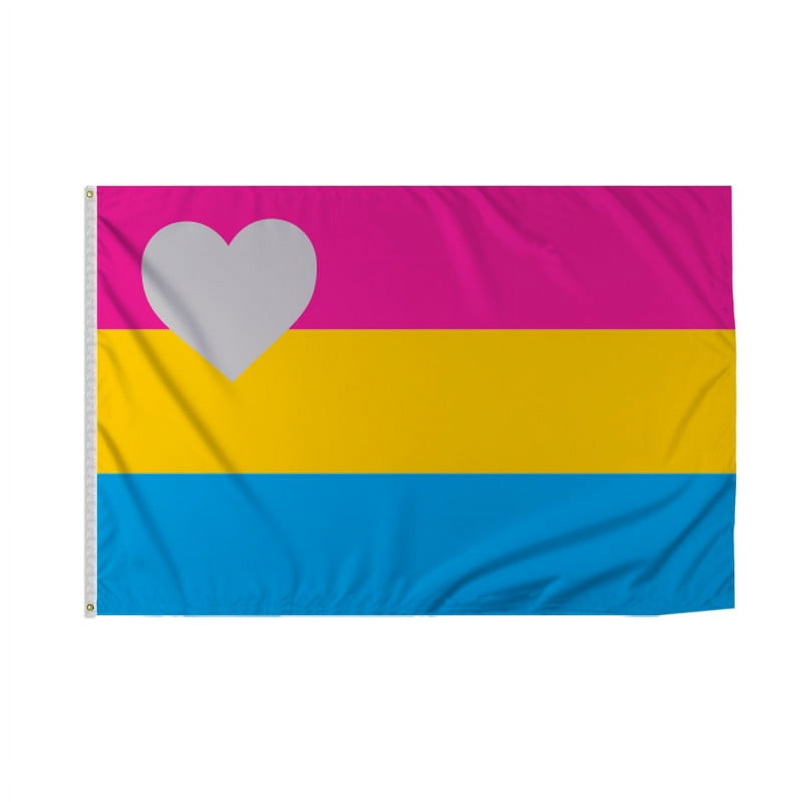 Promopatriot Large Panromantic Pride Flag 8x12 Ft Printed 200D Nylon ...