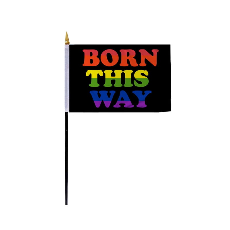 Promopatriot Small Born this way Pride Flag 4x6 inch Stick Flag Sewn ...