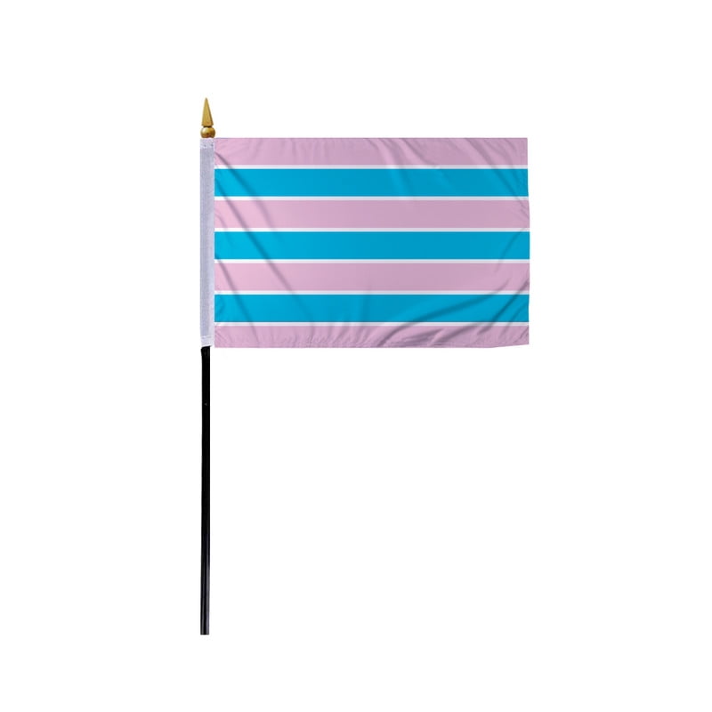 Promopatriot Small Transexual Pride Flag 4x6 inch Stick Flag Sewn Edges ...