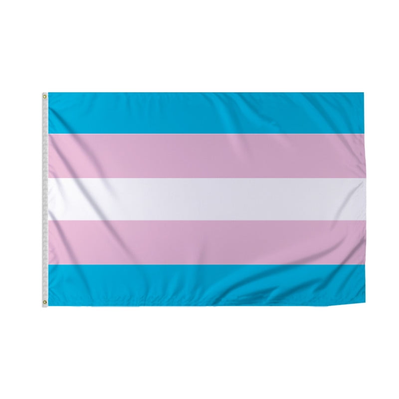 Promopatriot Transgender Pride Flag 4x6 Ft Printed 200D Nylon Brass ...