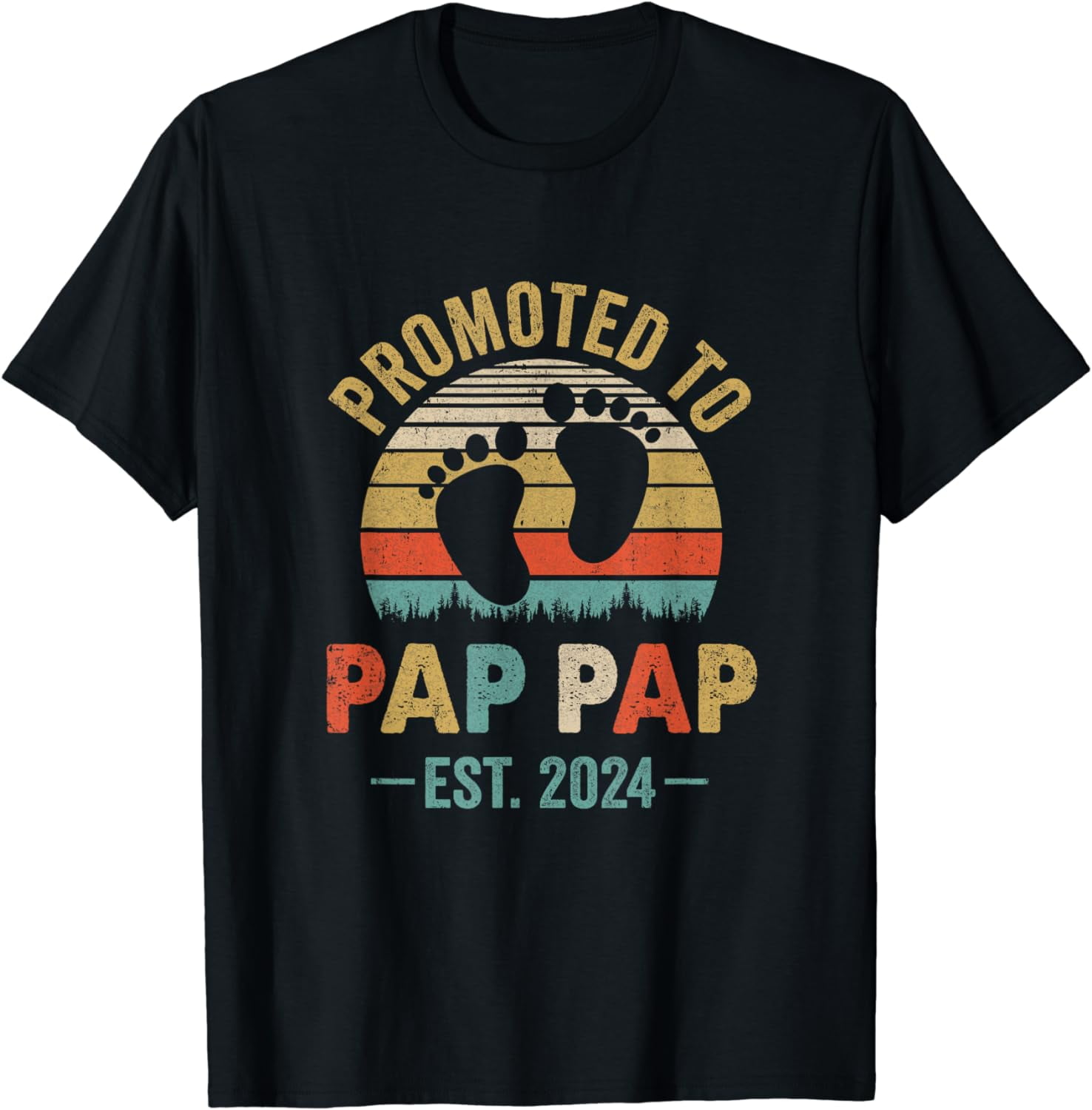 Promoted To Pap Pap Est 2024 Fathers Day Vintage T-Shirt - Walmart.com