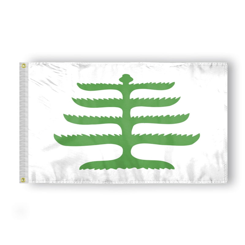 Prompatriot 3X5 Ft Pine Tree Colonial American Revolution History Flags ...