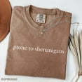 Prone To Shenanigans Shirt, Funny Sarcastic Womens Tshirt, St. Patrick ...