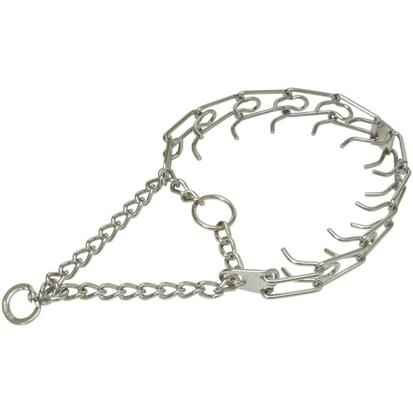 Prong Collar Placement