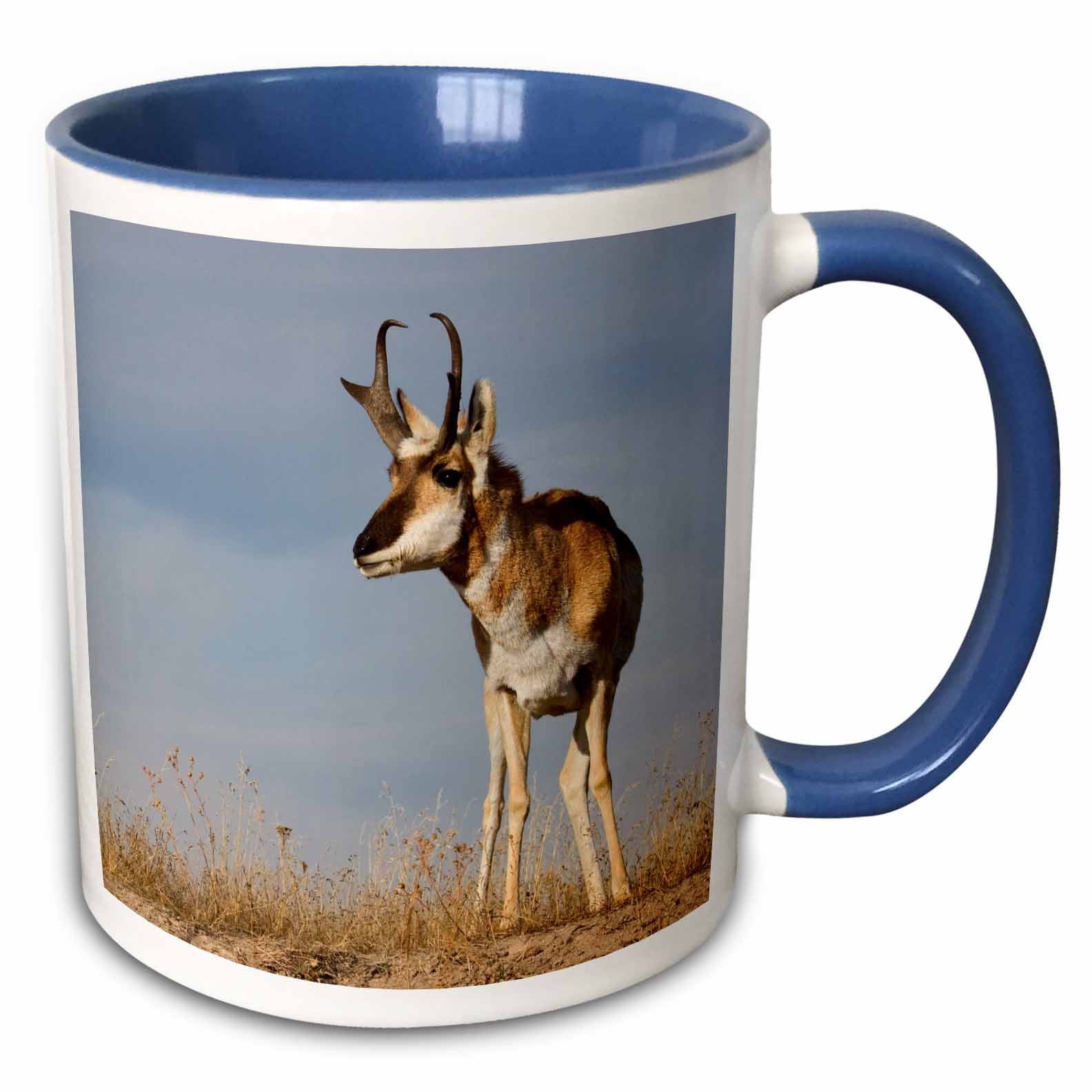 3drose, Pronghorn Antelope Buck, 11oz Two-tone Blue Mug - Walmart.com
