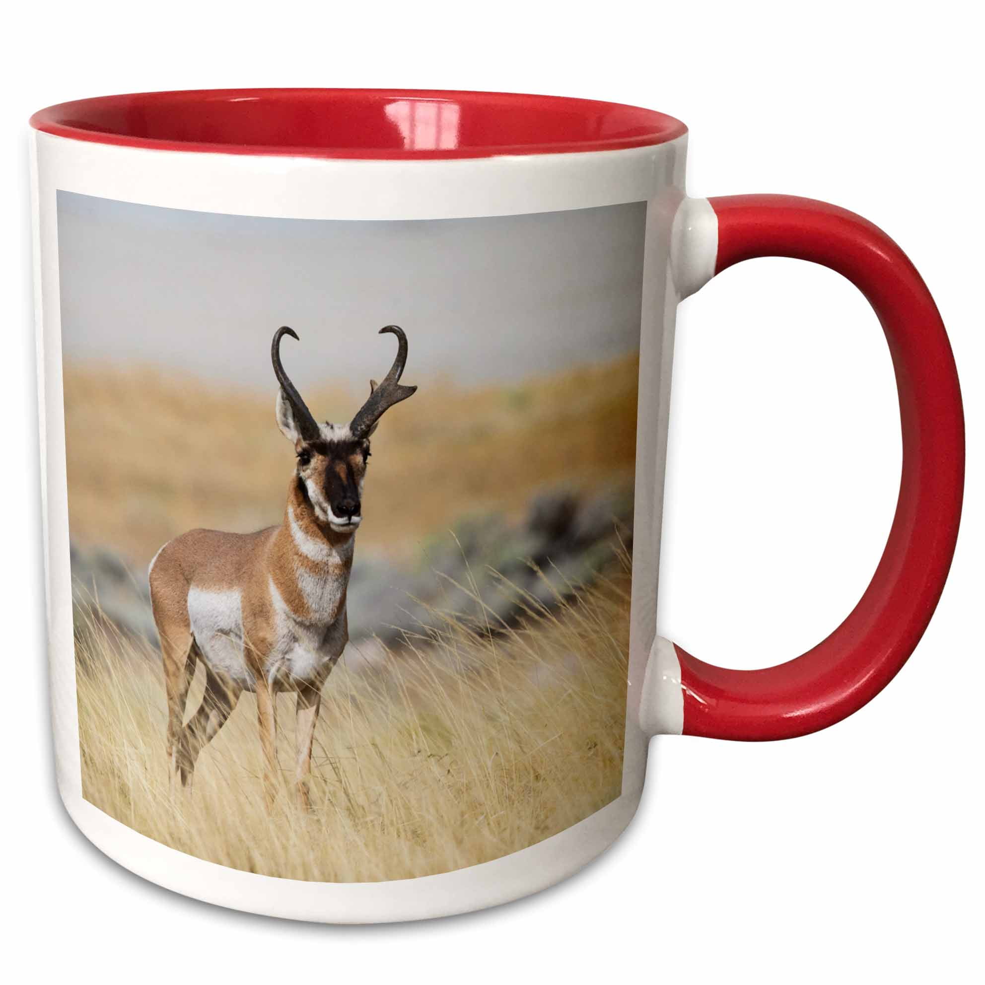 3drose, Pronghorn Antelope Buck, 15oz Two-tone Red Mug - Walmart.com