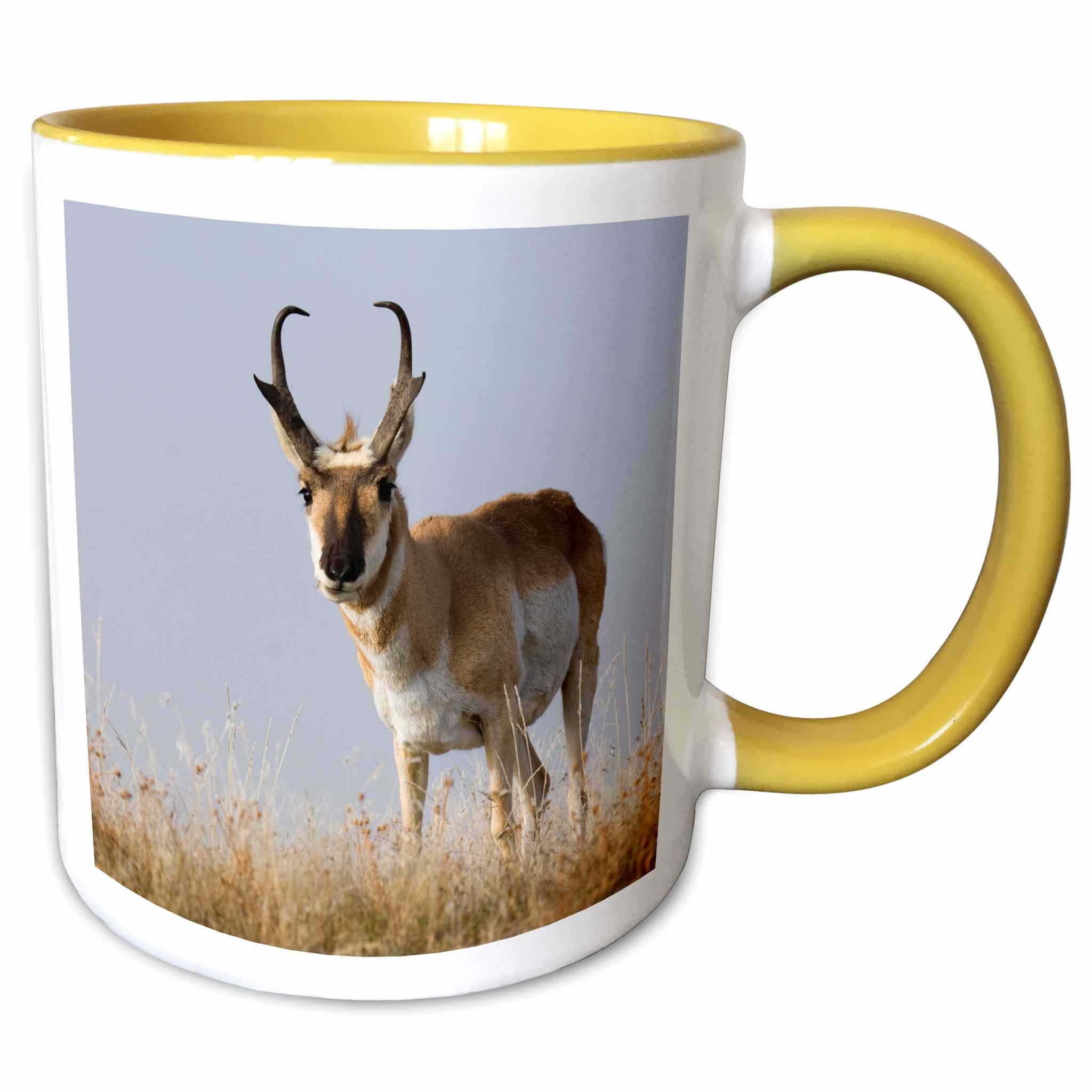 3drose, Pronghorn Antelope Buck., 15oz Two-tone Yellow Mug - Walmart.com