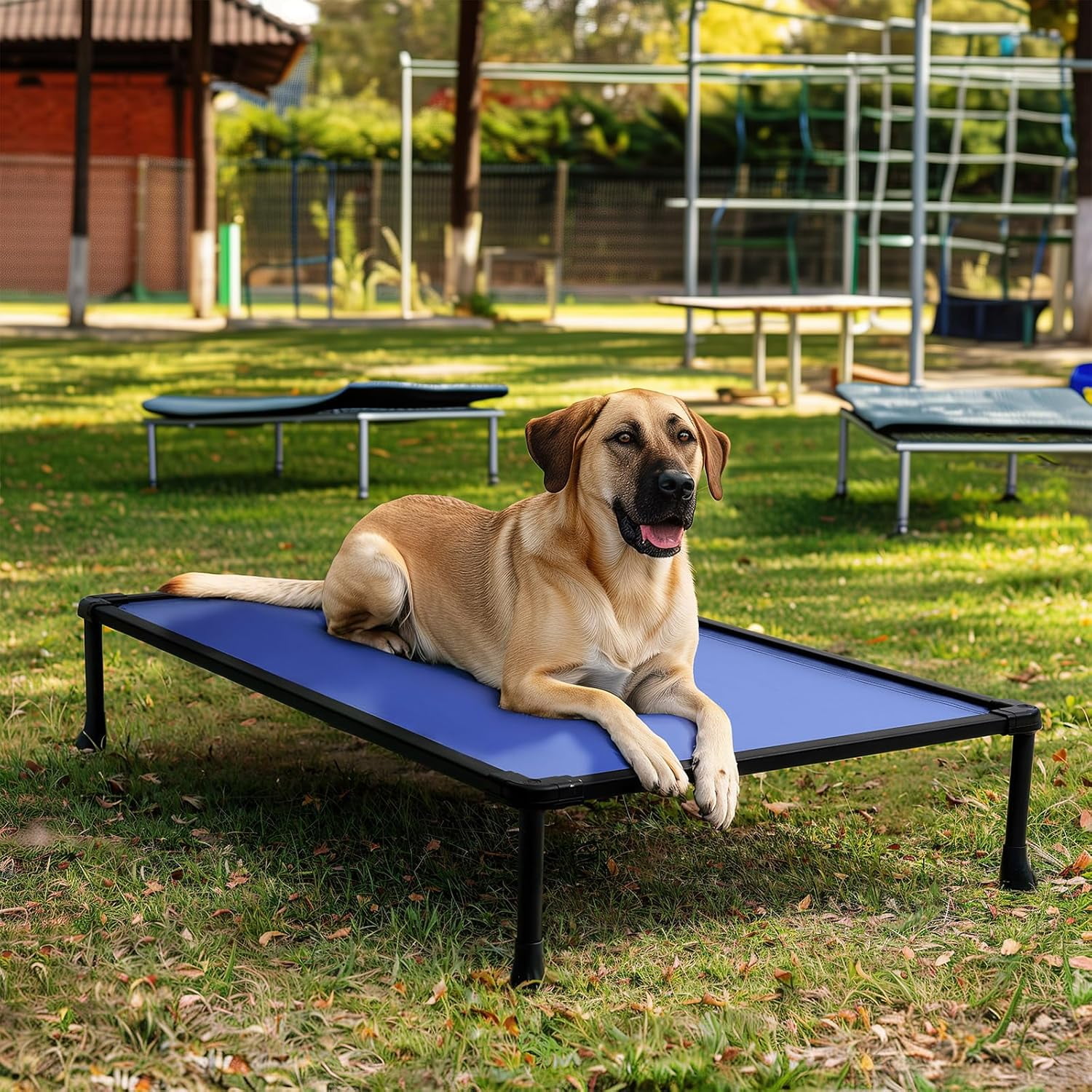 Proof Elevated Dog Bed, Durable Raised Training Platform for Large Dogs ...