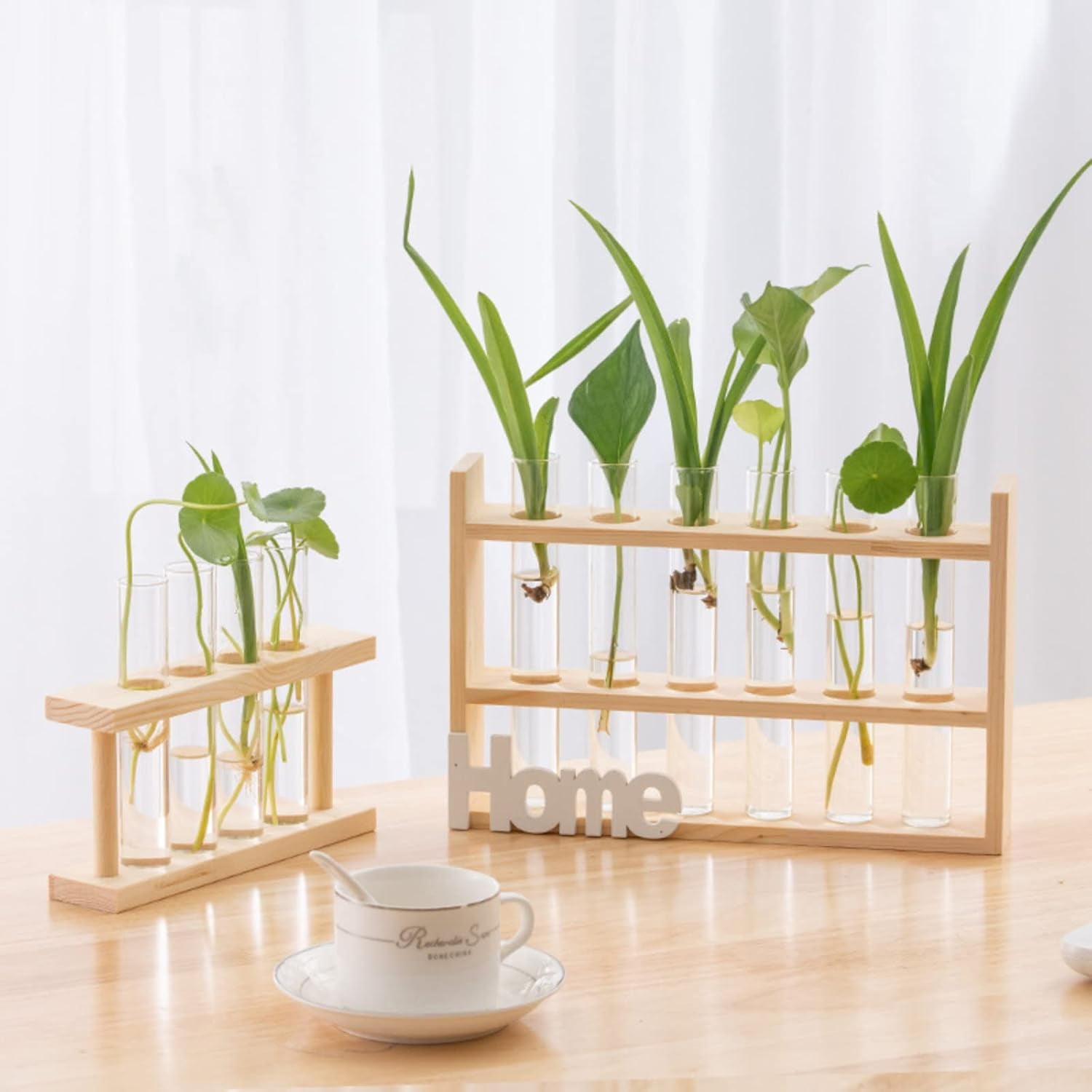 Propagation Tubes with Wooden Stand, Wall Hanging Propagation Stations ...