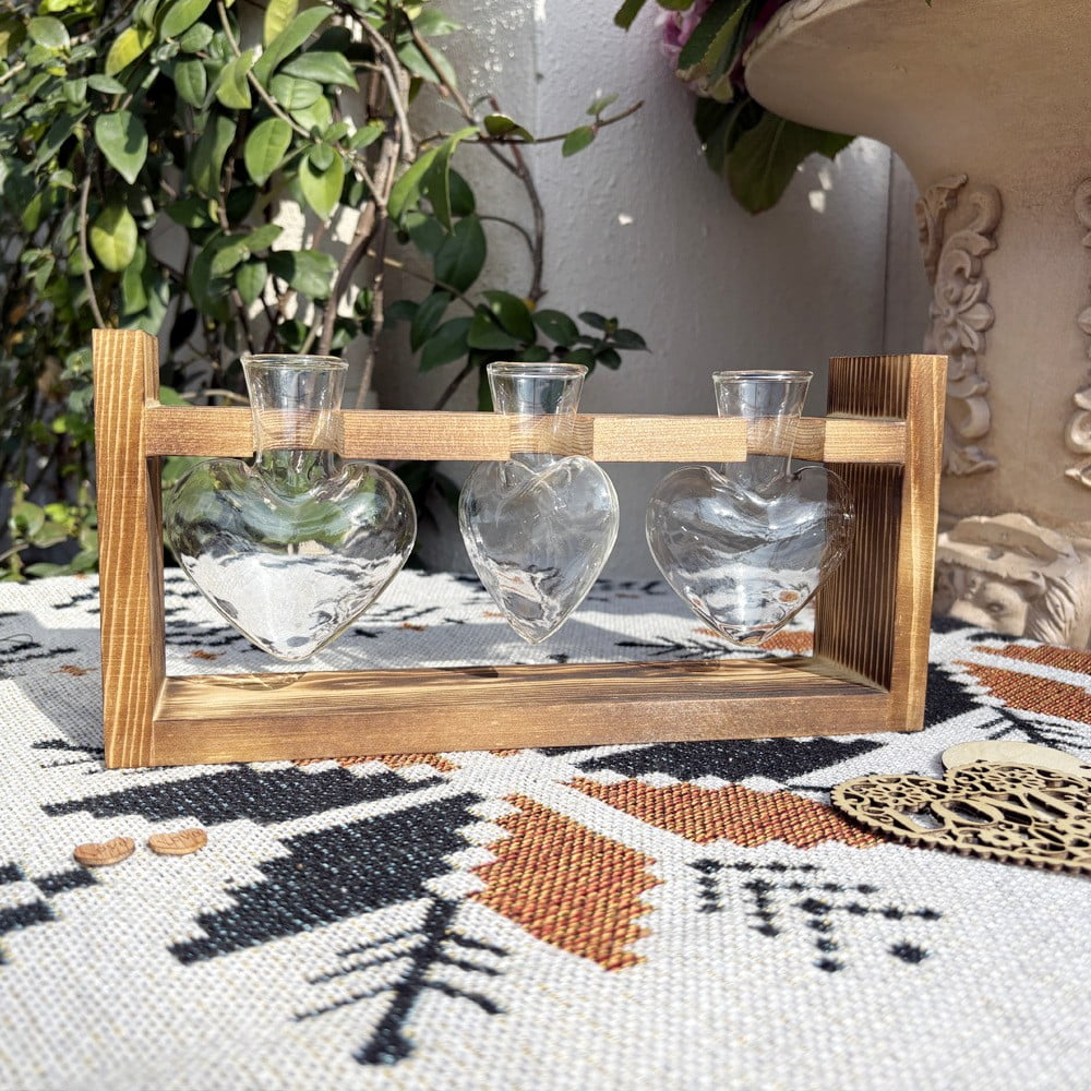 Propagation Vases for Plants，Air Plant Holder - Mother'S Day Split ...