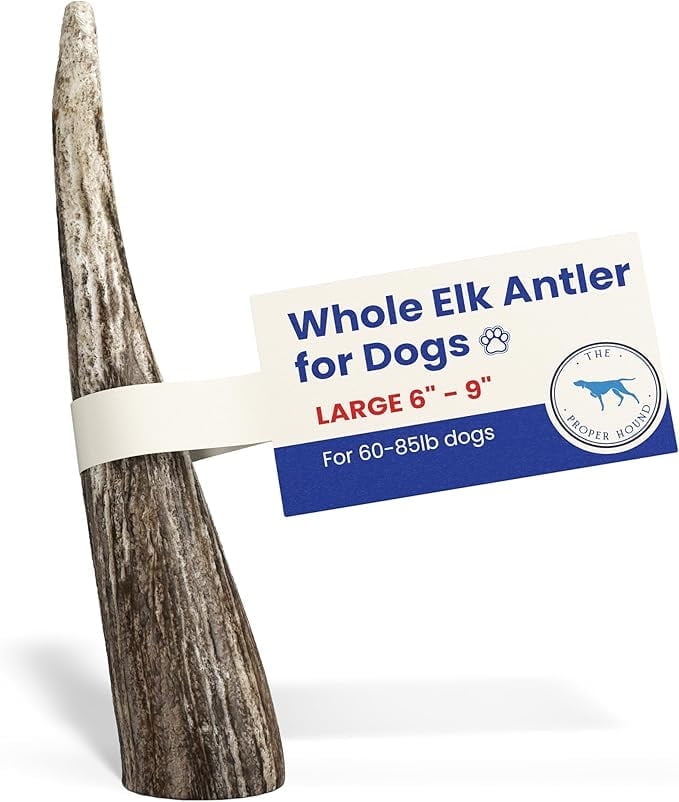 The Proper HoundÂ Whole Elk Antlers for Dogs Long Lasting - Elk Bones ...