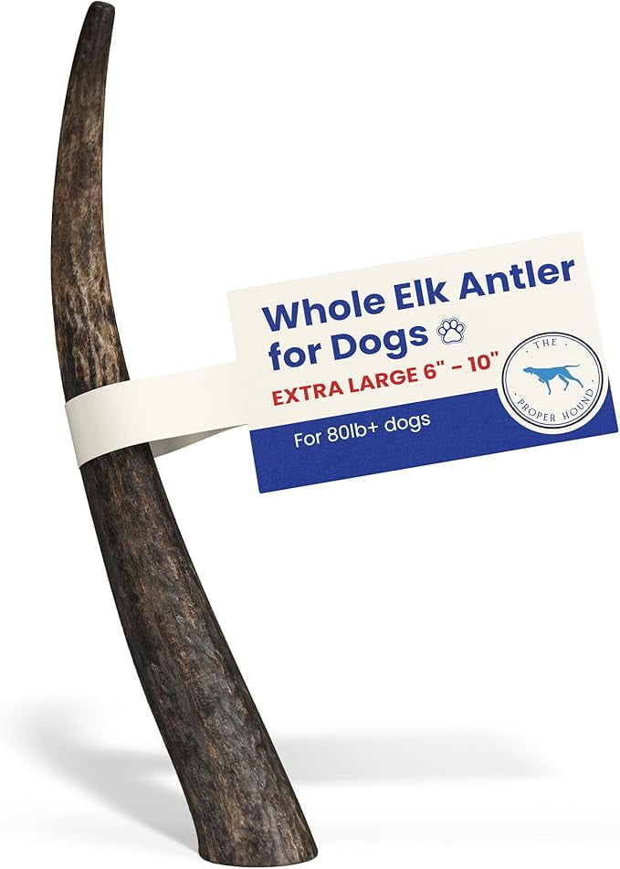 The Proper HoundÂ Whole Elk Antlers for Dogs Long Lasting - Elk Bones ...