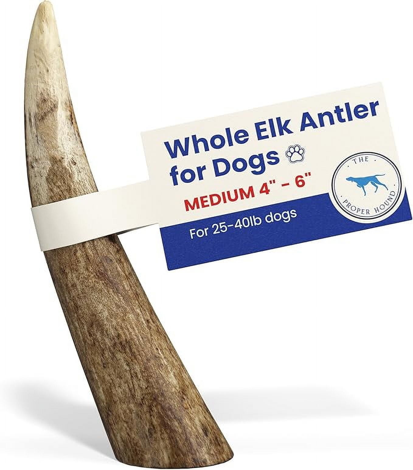 The Proper HoundÂ Whole Elk Antlers for Dogs Long Lasting - Elk Bones ...