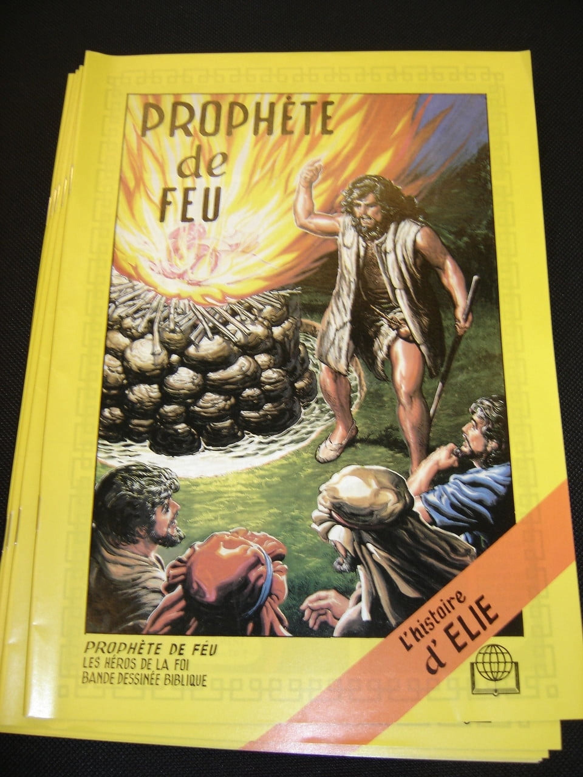 Prophete De Feu - L'histoire d' Elie / French Elijah 570P / French ...
