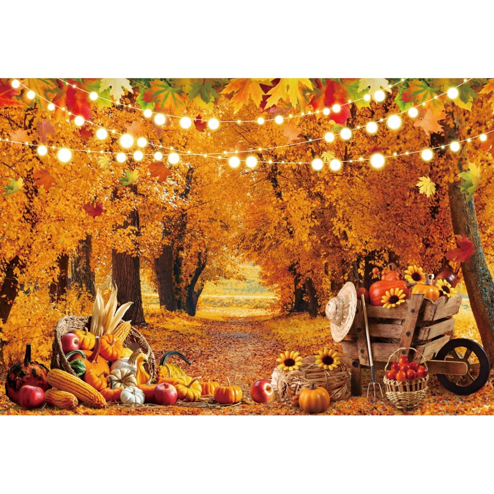 Props Studio Backdrop Photography View Leaves Fall Yellow and Tree Road ...
