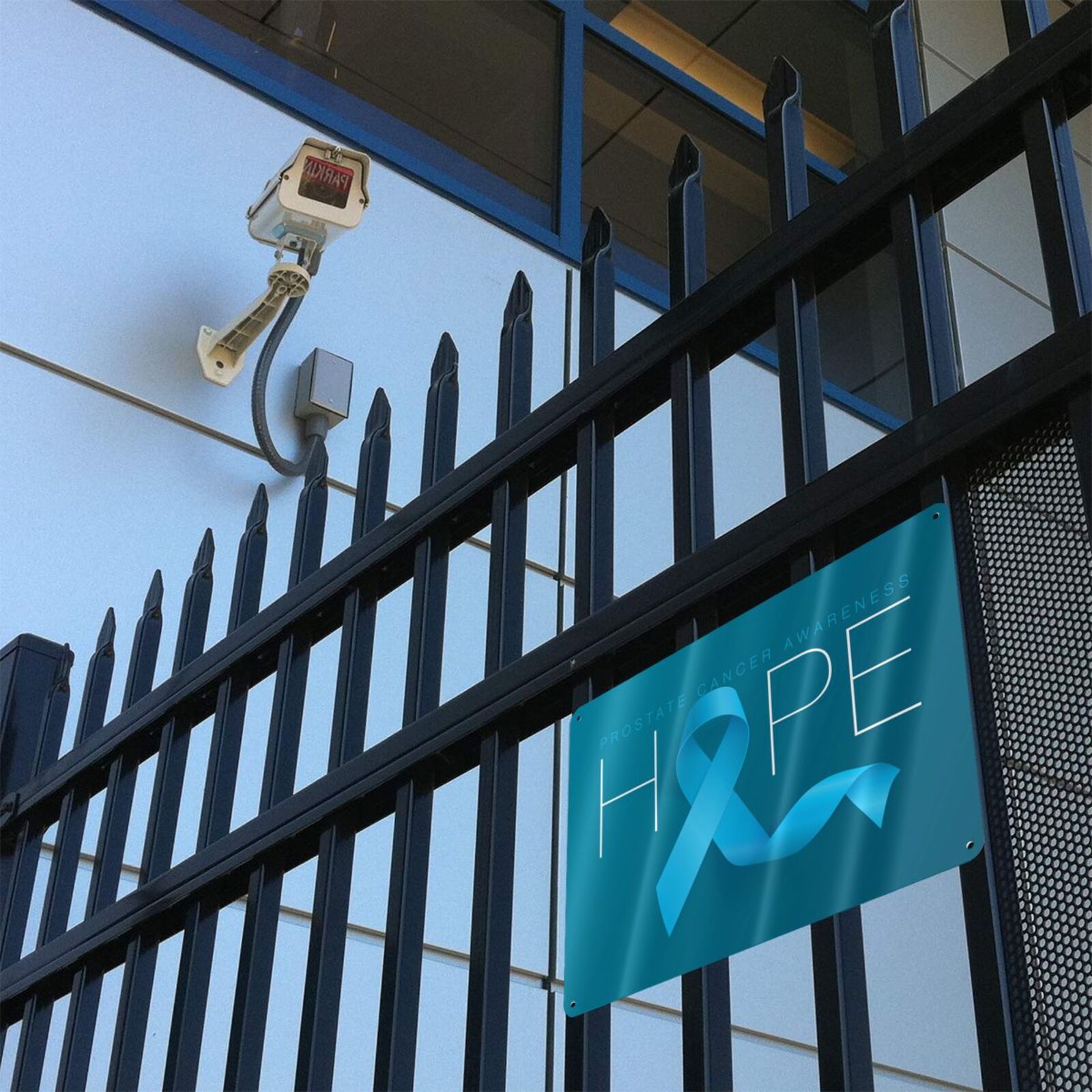 Prostate Cancer Awareness Month Sign 12x8in Indoor Outdoor Metal ...