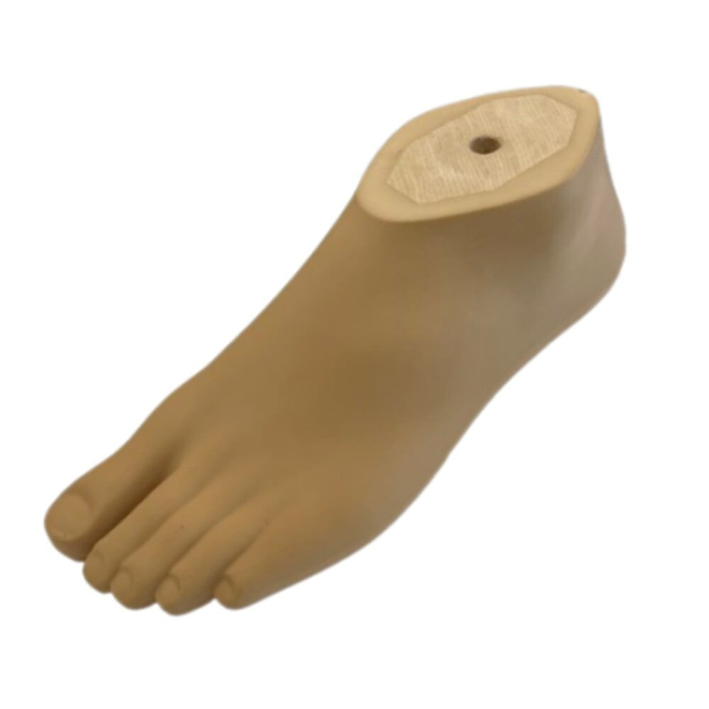 Prosthetic SACH Foot with Adapter, Sizes 21-30, Left & Right Available ...