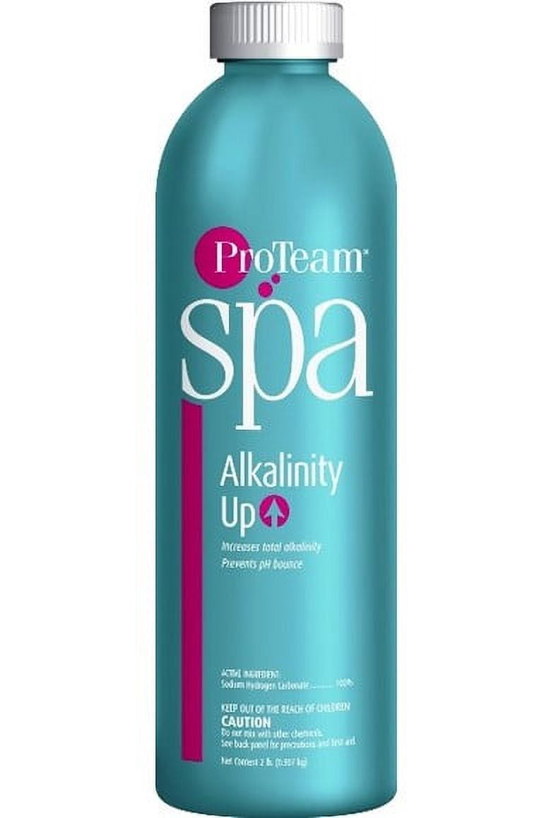 Proteam Spa Water Treatment Chemicals - Alkalinity Up, 1lb C003943 ...