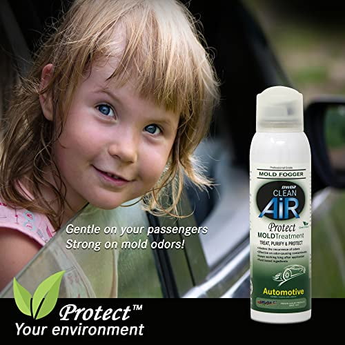 Protect™ Automotive Mold-Odor Treatment - Revitalize Your Car's ...