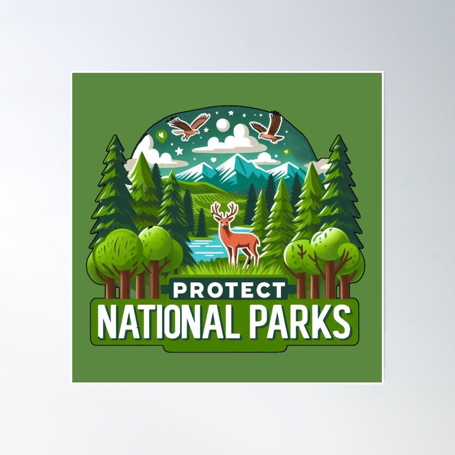 Protect National Parks Poster Wall Art, Modern Wall Decor, 30x30 ...