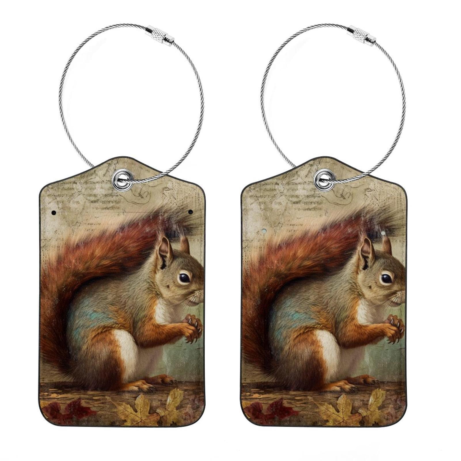 Protect Your Belongings with 2Pcs Metal Loop Lock Baggage Tags, Vintage ...