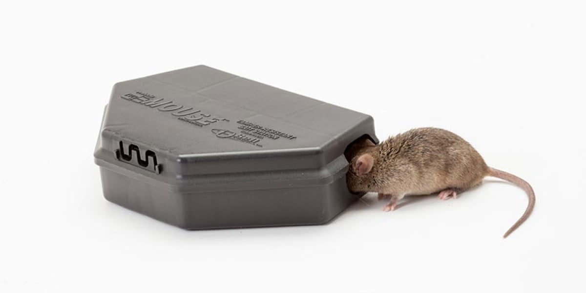 Protecta EVO Mouse Bait Station - Durable & Tamper-Resistant - 1 Bait ...