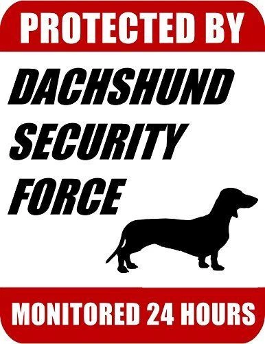 Protected By Dachshund Security Force Monitored 24 Hours Laminated Dog ...