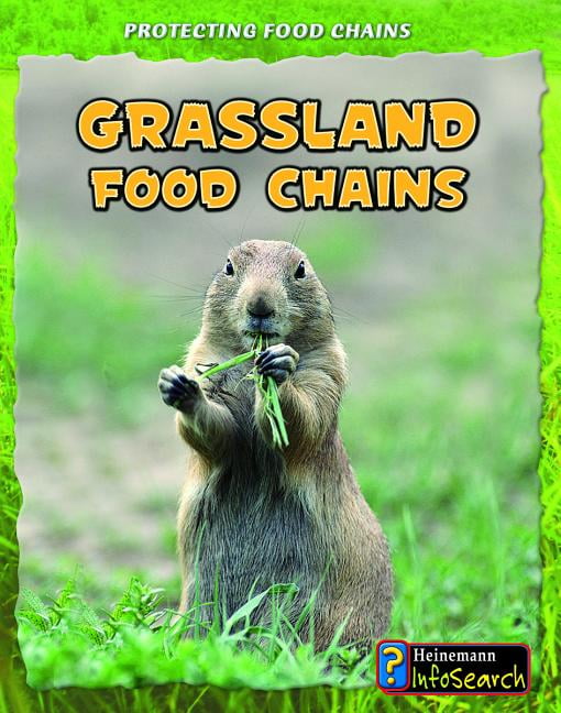 Protecting Food Chains: Grassland Food Chains (Paperback) - Walmart.com