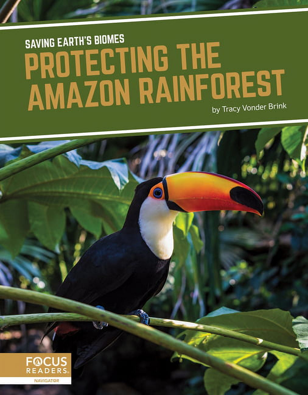 Protecting the Amazon Rainforest, (Hardcover) - Walmart.com