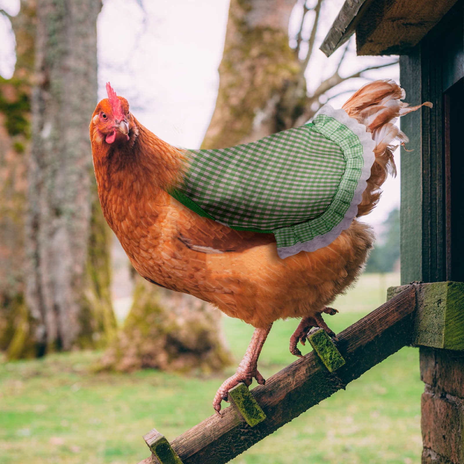 Protective Apron Cover, Chicken Wing Guard, Waterproof Material ...